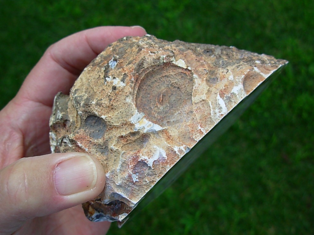 Brazilian Agate from Spiritrockshop