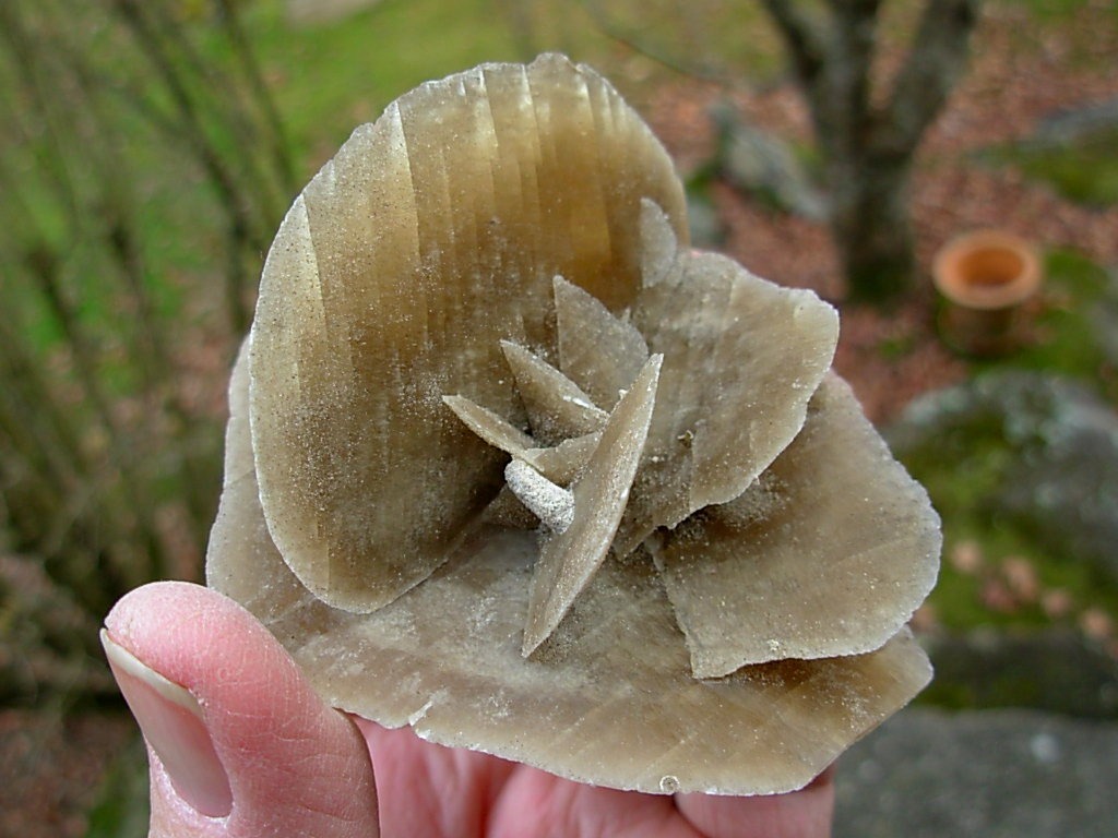 Desert Rose - Spirit Rock Shop