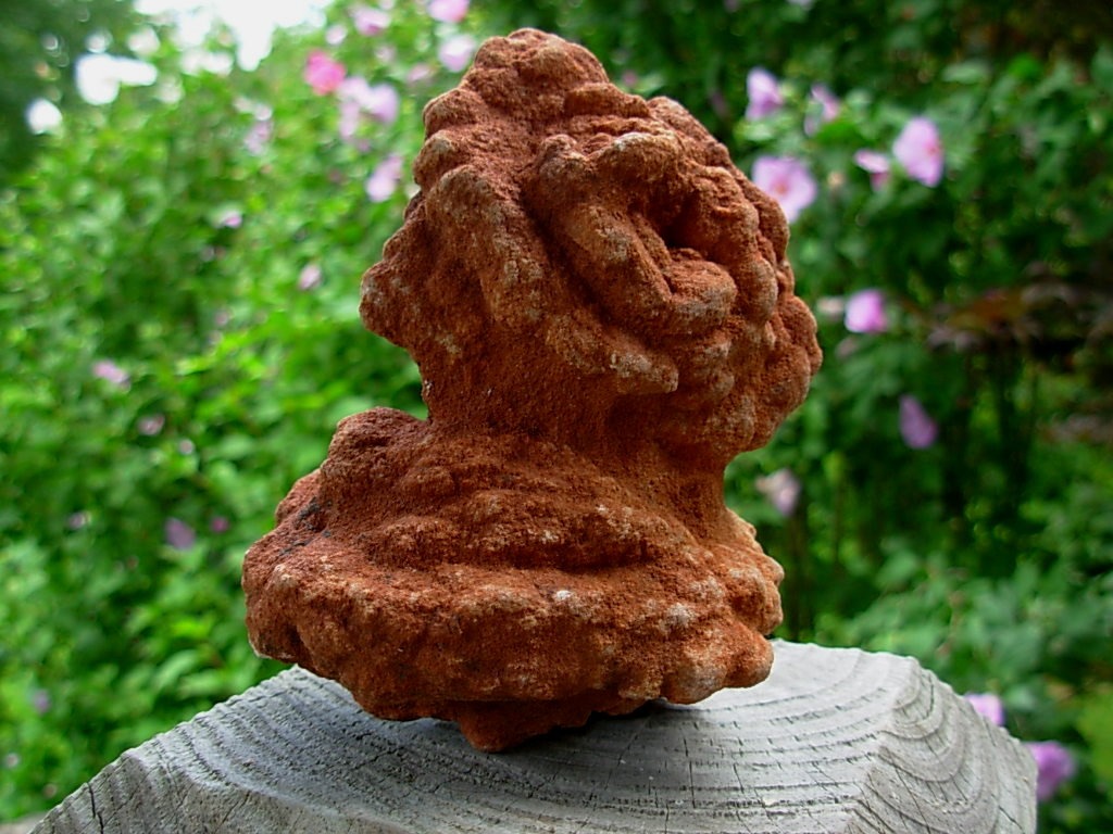 Desert Rose - Spirit Rock Shop