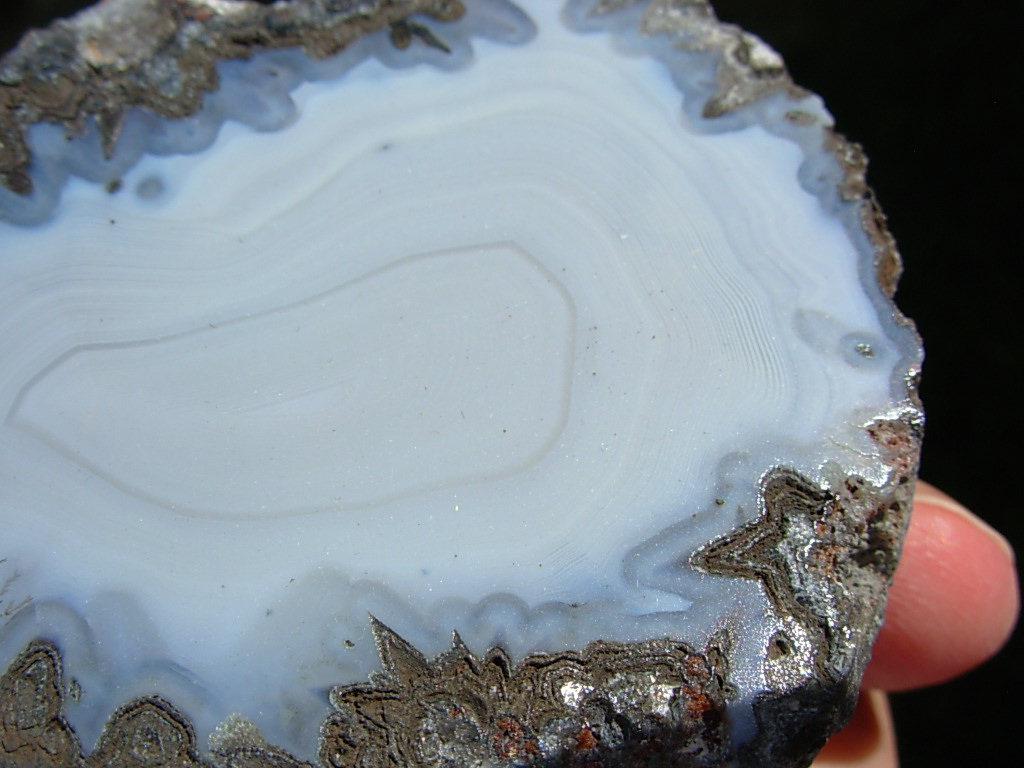 Las Choyas (Mexican Coconut) Geodes from Spiritrockshop