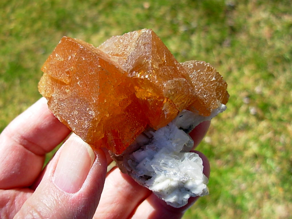 Scheelite and Powellite from SpiritRock Shop