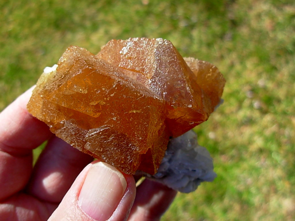 Scheelite and Powellite from SpiritRock Shop