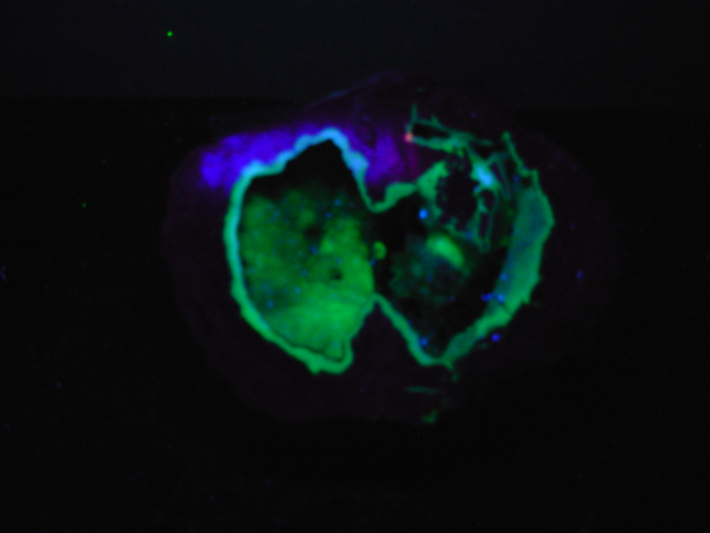 Dugway Geodes from Spiritrockshop