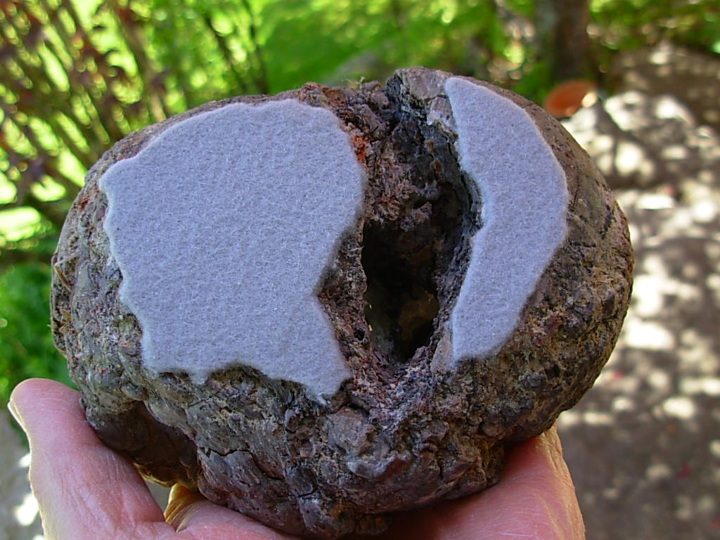 Dugway Geodes from Spiritrockshop