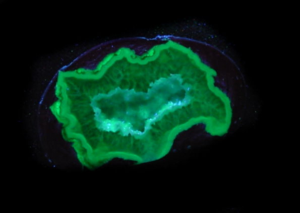 Dugway Geodes from Spiritrockshop