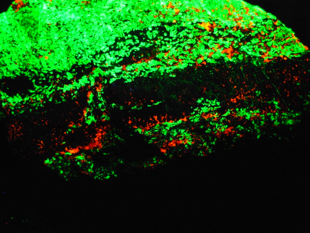 Fluorescent Minerals Page 2 - Spirit Rock Shop