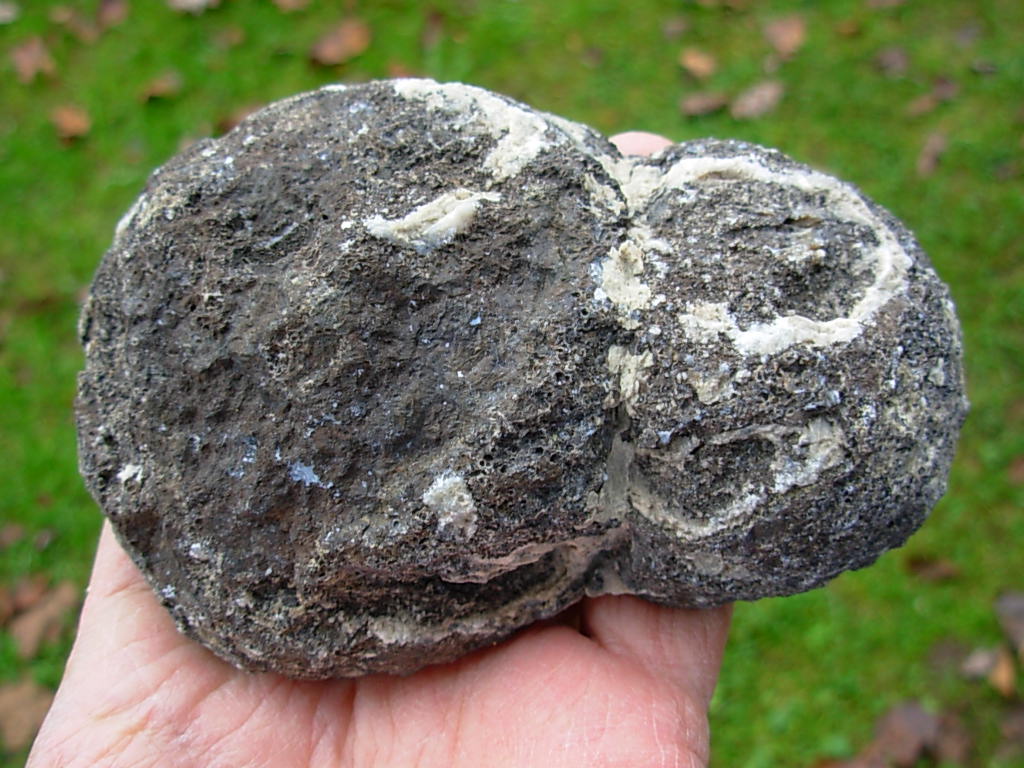 Las Choyas (Mexican Coconut) Geodes from Spiritrockshop