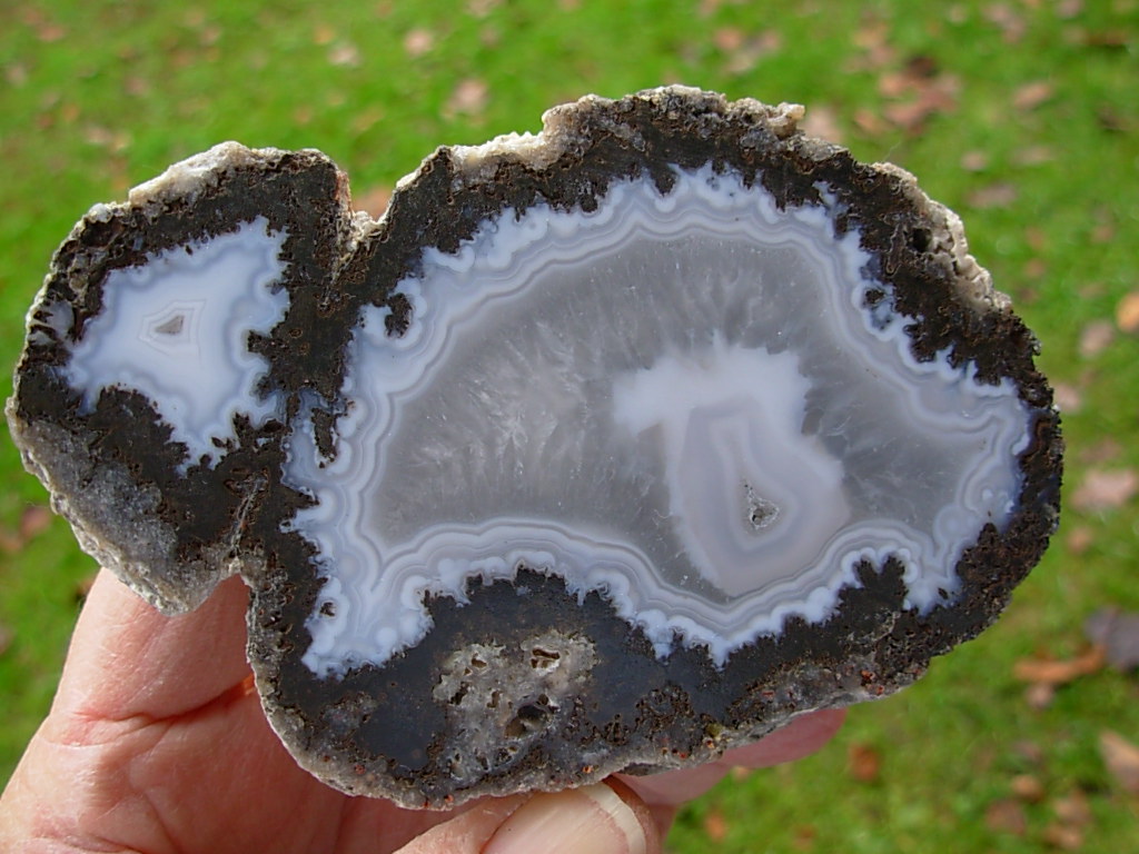 Las Choyas (Mexican Coconut) Geodes from Spiritrockshop