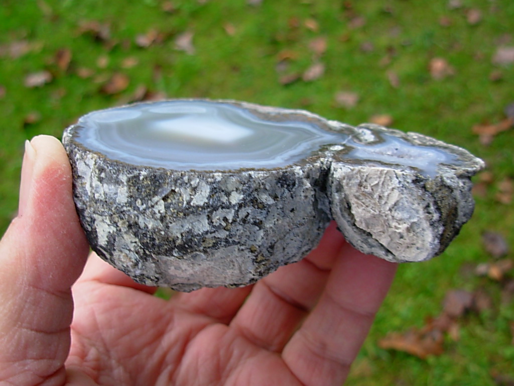 Las Choyas (Mexican Coconut) Geodes from Spiritrockshop