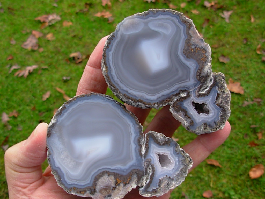 Las Choyas (Mexican Coconut) Geodes from Spiritrockshop