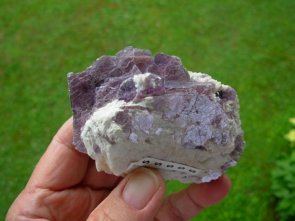 Lepidolite from SpiritRock Shop