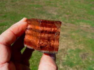 Tiger's Eye from SpiritRock Shop